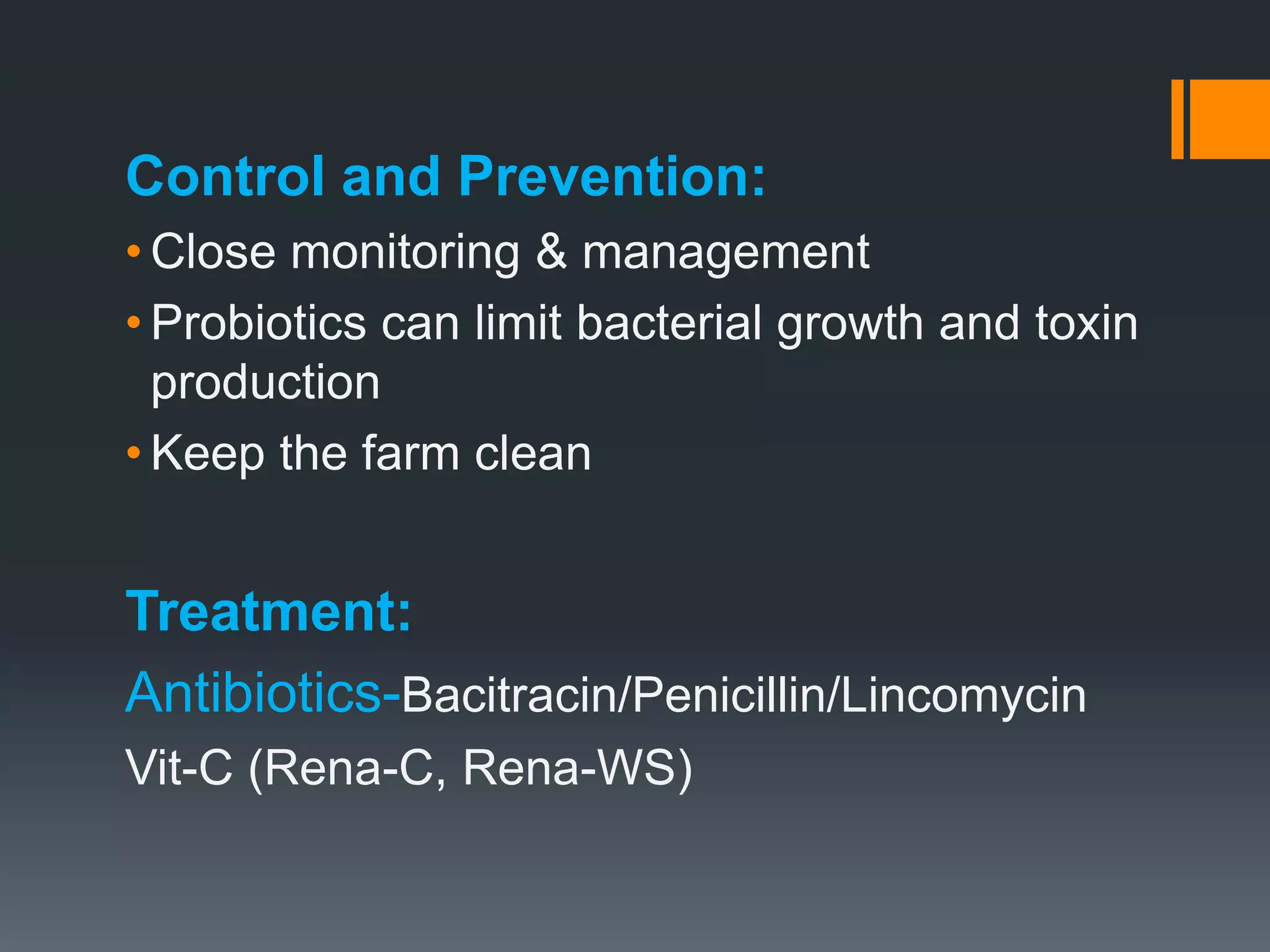 Necrotic Enteritis and Duck viral Enteritis | PPTX