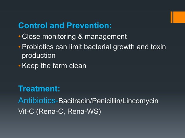 Necrotic Enteritis and Duck viral Enteritis | PPTX