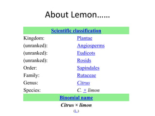 Saikrupa lemon co. | PPTX