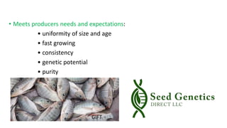 Identification of fish seed | PPTX