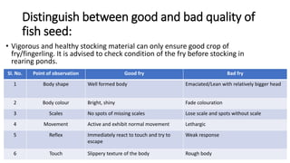 Identification of fish seed | PPTX