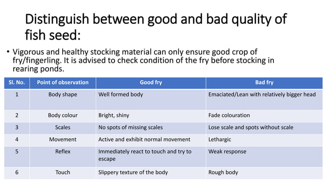 Identification of fish seed | PPTX