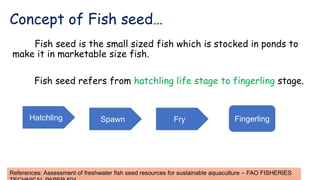 Identification of fish seed | PPTX