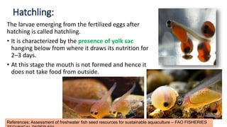 Identification of fish seed | PPTX