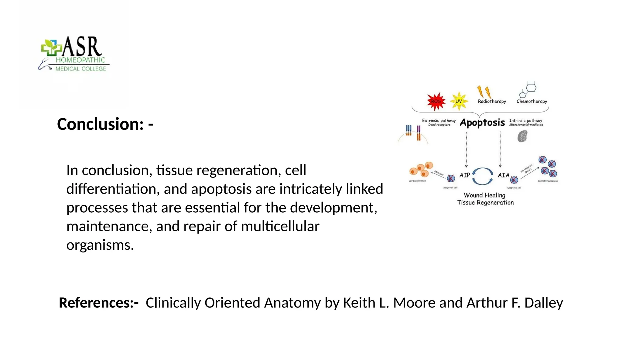 Tissue regeneration cell differentiation and Apoptosis | PPTX