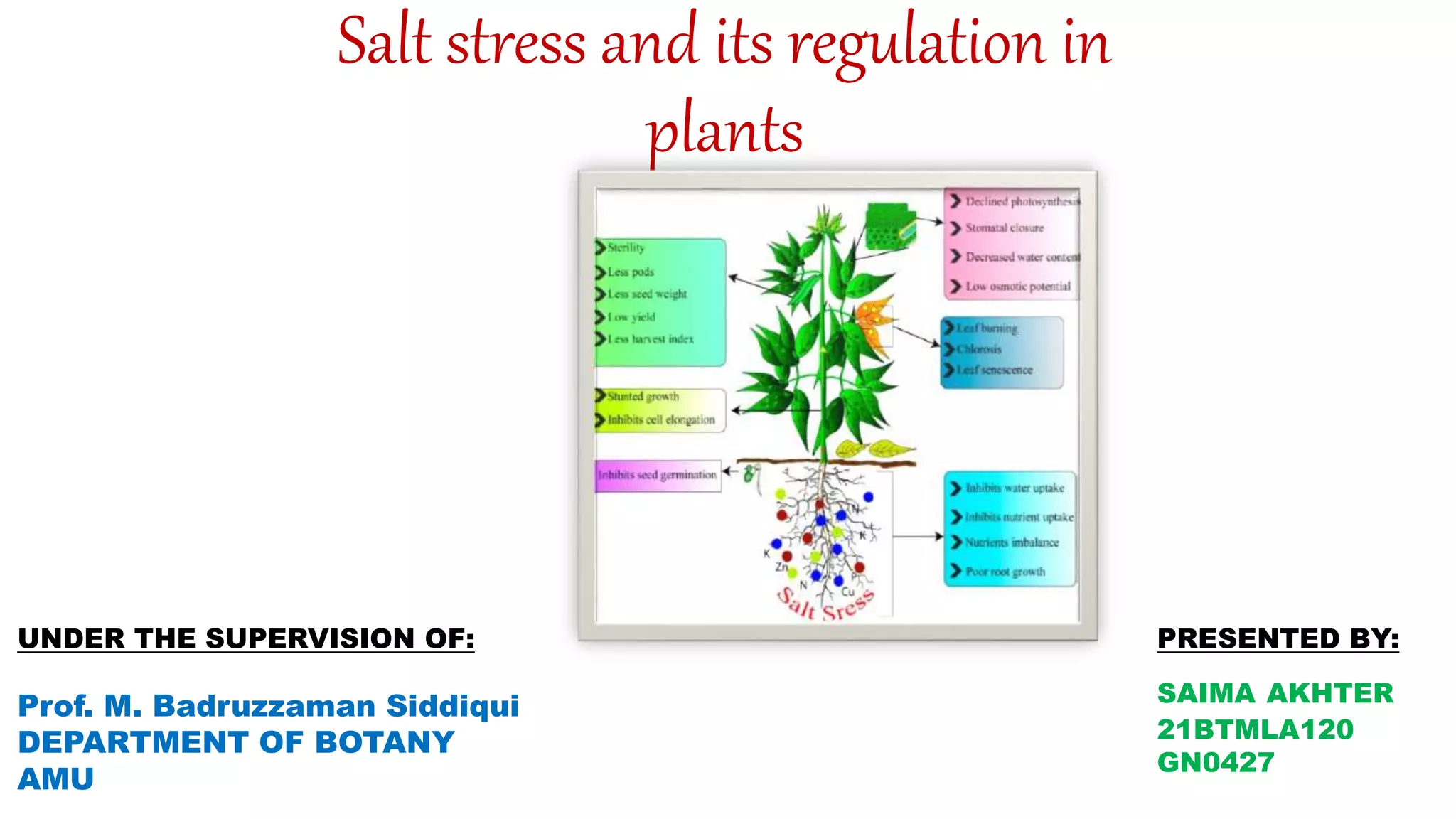 Salt stress and its regulation in plants ppt.pptx