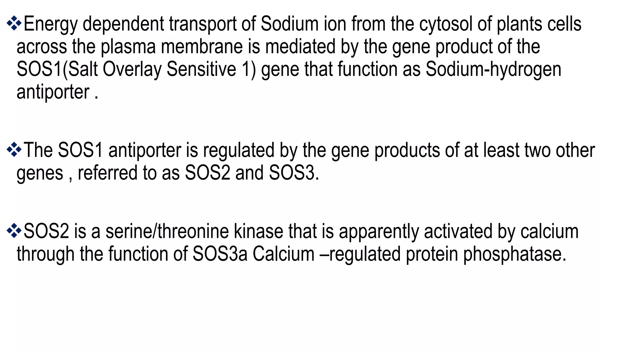Salt stress and its regulation in plants ppt.pptx