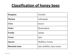 Apiculture | PPT | Free Download