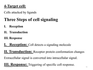 cell signaling | PPT