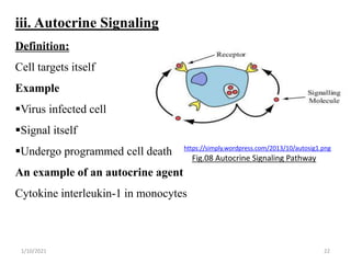 cell signaling | PPT