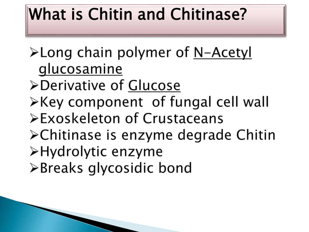 Production of Chitinase | PPTX | Chemistry | Science