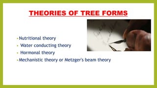 Tree form factor forestry ppt agroforestry | PPTX