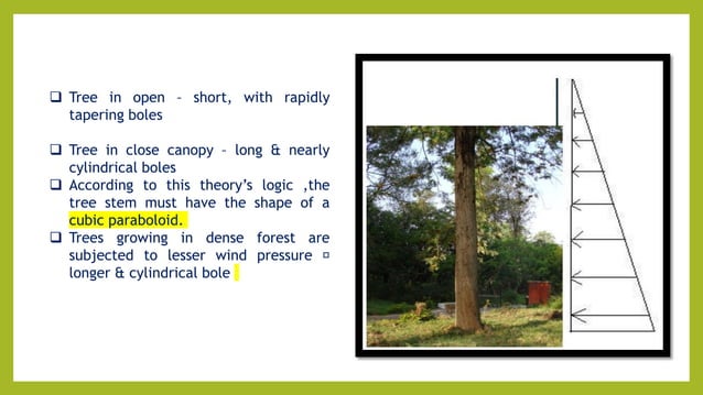 Tree form factor forestry ppt agroforestry | PPTX