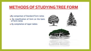 Tree form factor forestry ppt agroforestry | PPTX