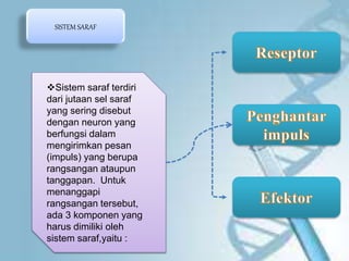 SISTEM SARAF | PPTX