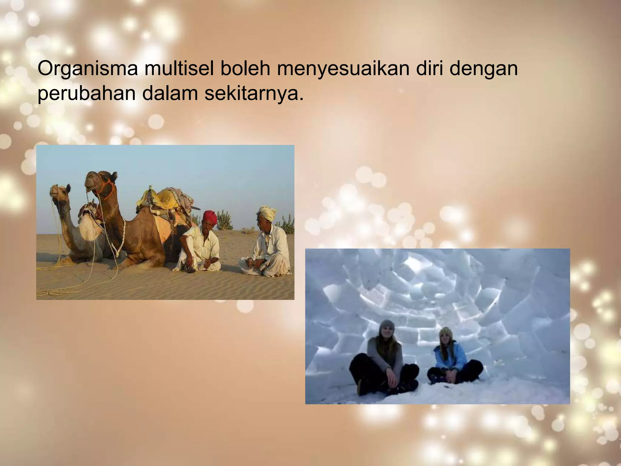 Mengapakah Manusia Ialah Organisma Yang Multisel ? | PPTX