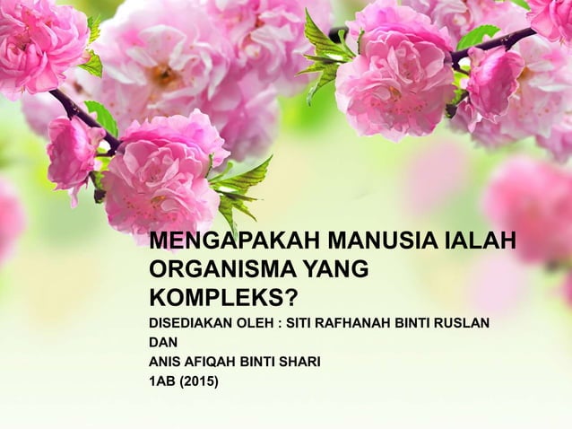 Mengapakah Manusia Ialah Organisma Yang Multisel ? | PPT