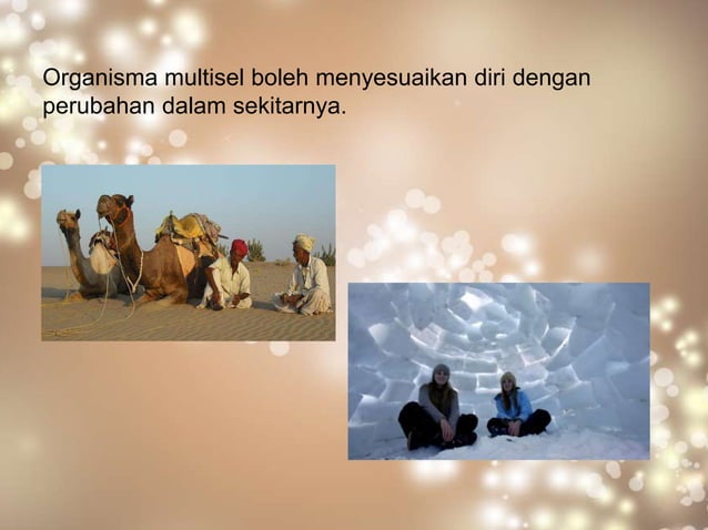 Mengapakah Manusia Ialah Organisma Yang Multisel ? | PPT