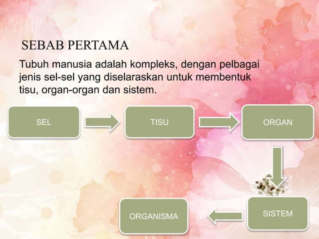 Mengapakah Manusia Ialah Organisma Yang Multisel ? | PPT