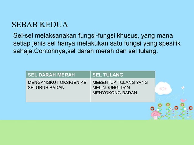 Mengapakah Manusia Ialah Organisma Yang Multisel ? | PPT