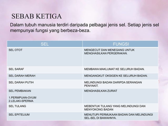 Mengapakah Manusia Ialah Organisma Yang Multisel ? | PPT