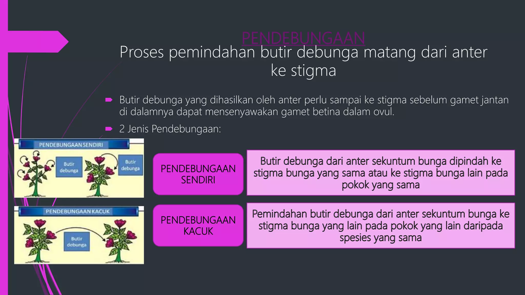 Sains Tingkatan 3, bab 4.9 | PPTX