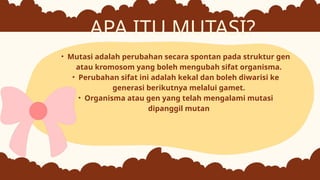 Mutasi adalah perubahan secara spontan pada struktur gen atau kromosom ...