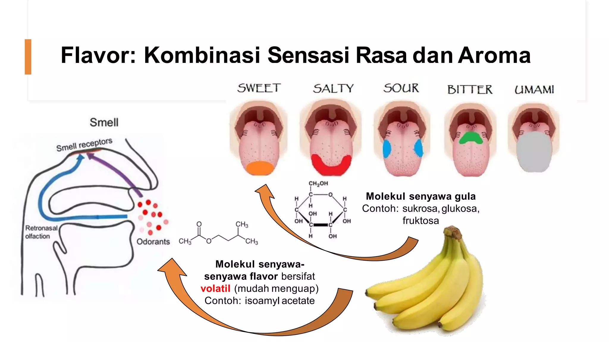 Handout Science Class Online Teknologi Pangan 2020 : Sains dan ...