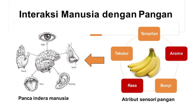 Handout Science Class Online Teknologi Pangan 2020 : Sains dan Teknologi di Balik Aneka Rasa ...