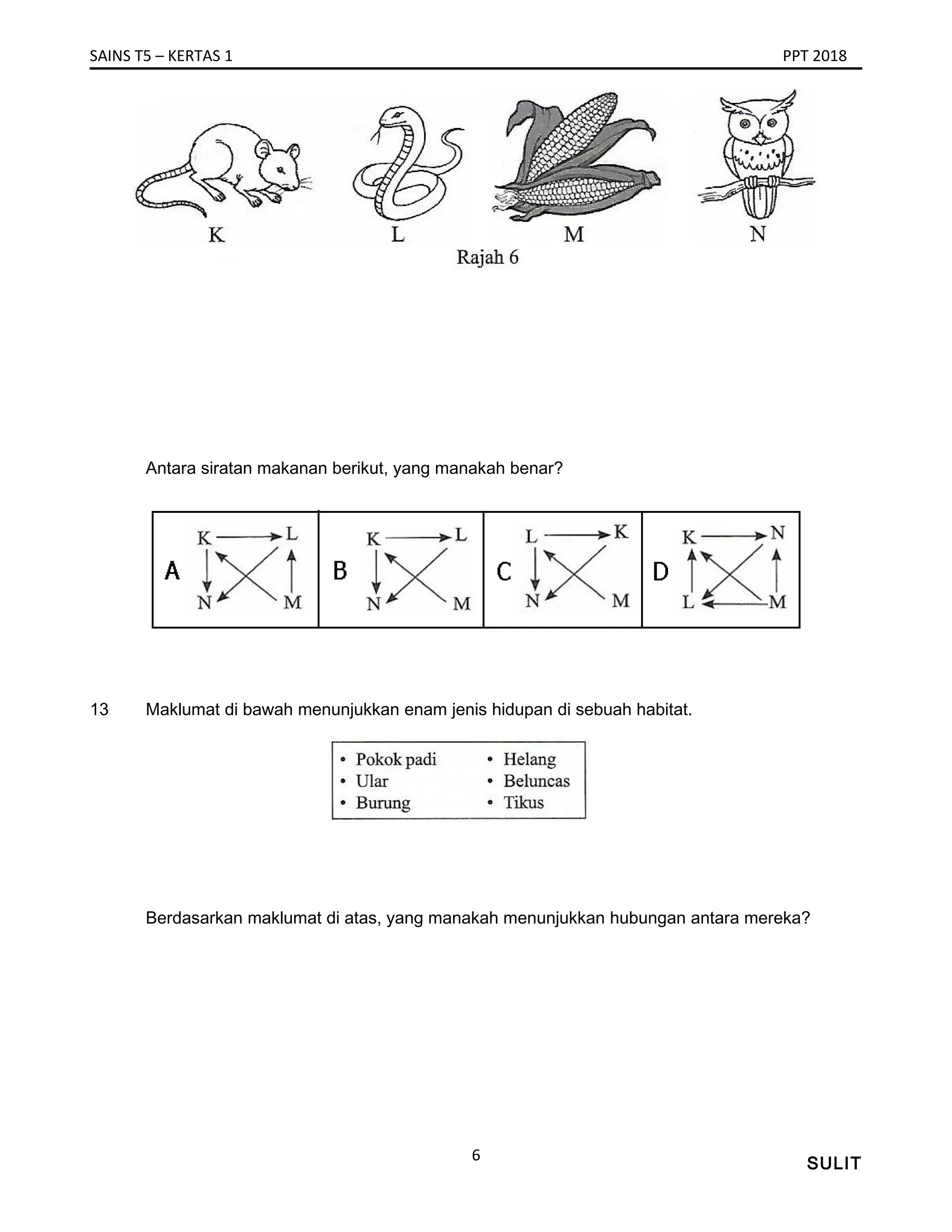 Sains k1 t5 ppt 2018 | DOC