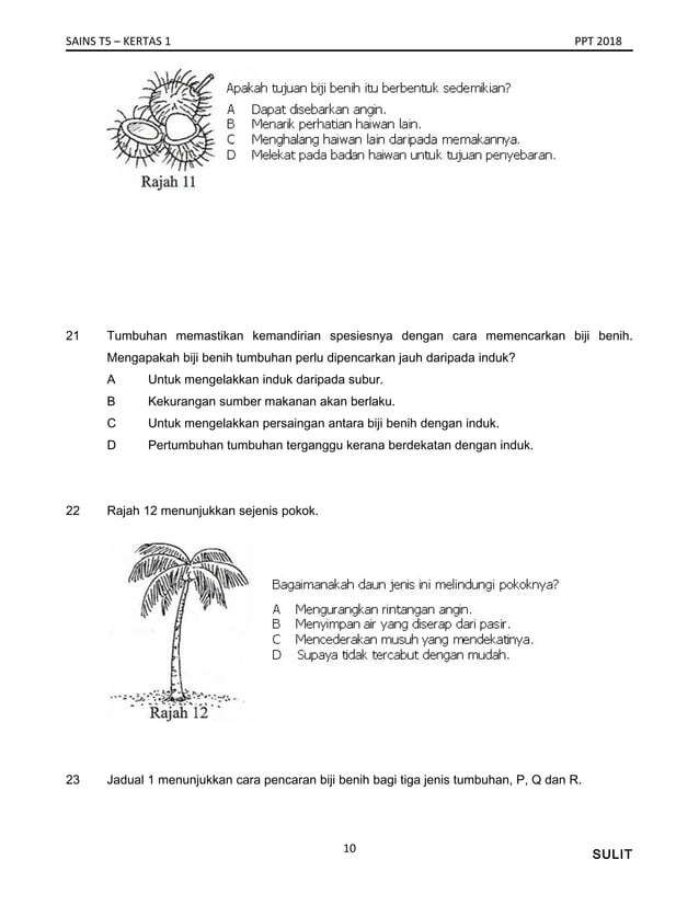 Sains k1 t5 ppt 2018 | DOC