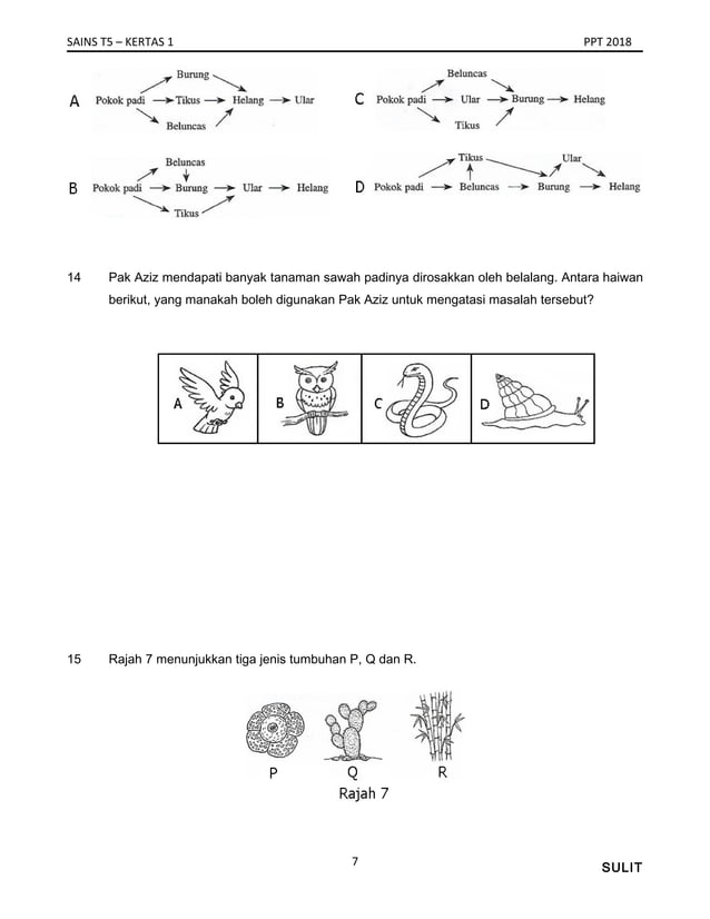 Sains k1 t5 ppt 2018 | DOC