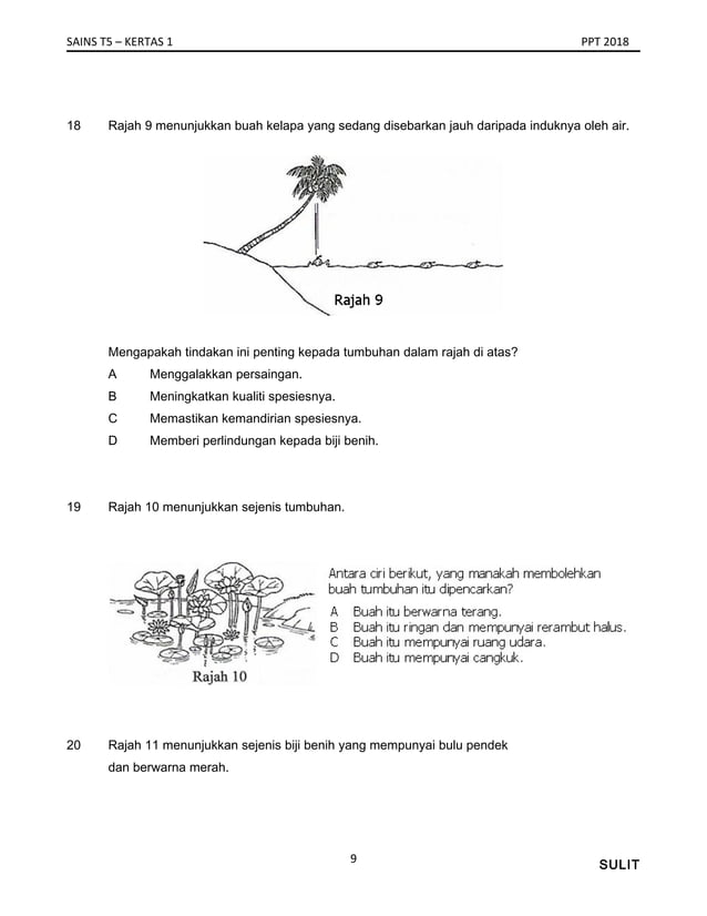 Sains k1 t5 ppt 2018 | DOC