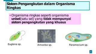 3.1 Sistem Pengangkutan Dalam Organisma (SAINS F4).pdf