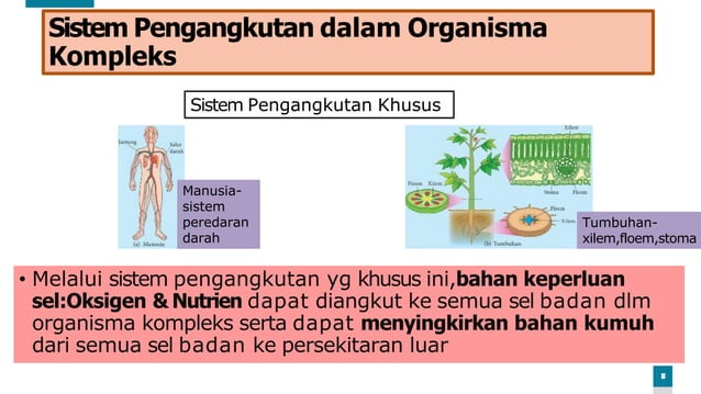 3.1 Sistem Pengangkutan Dalam Organisma (SAINS F4).pdf