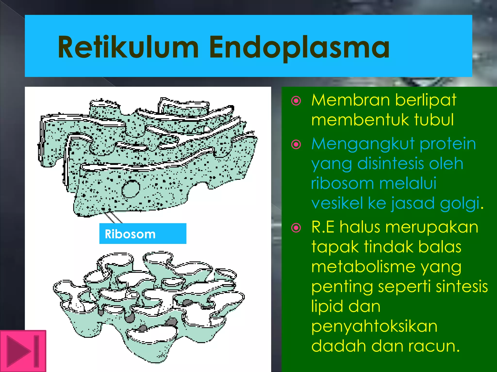 Fungsi sel , tisu dan membran | PPTX