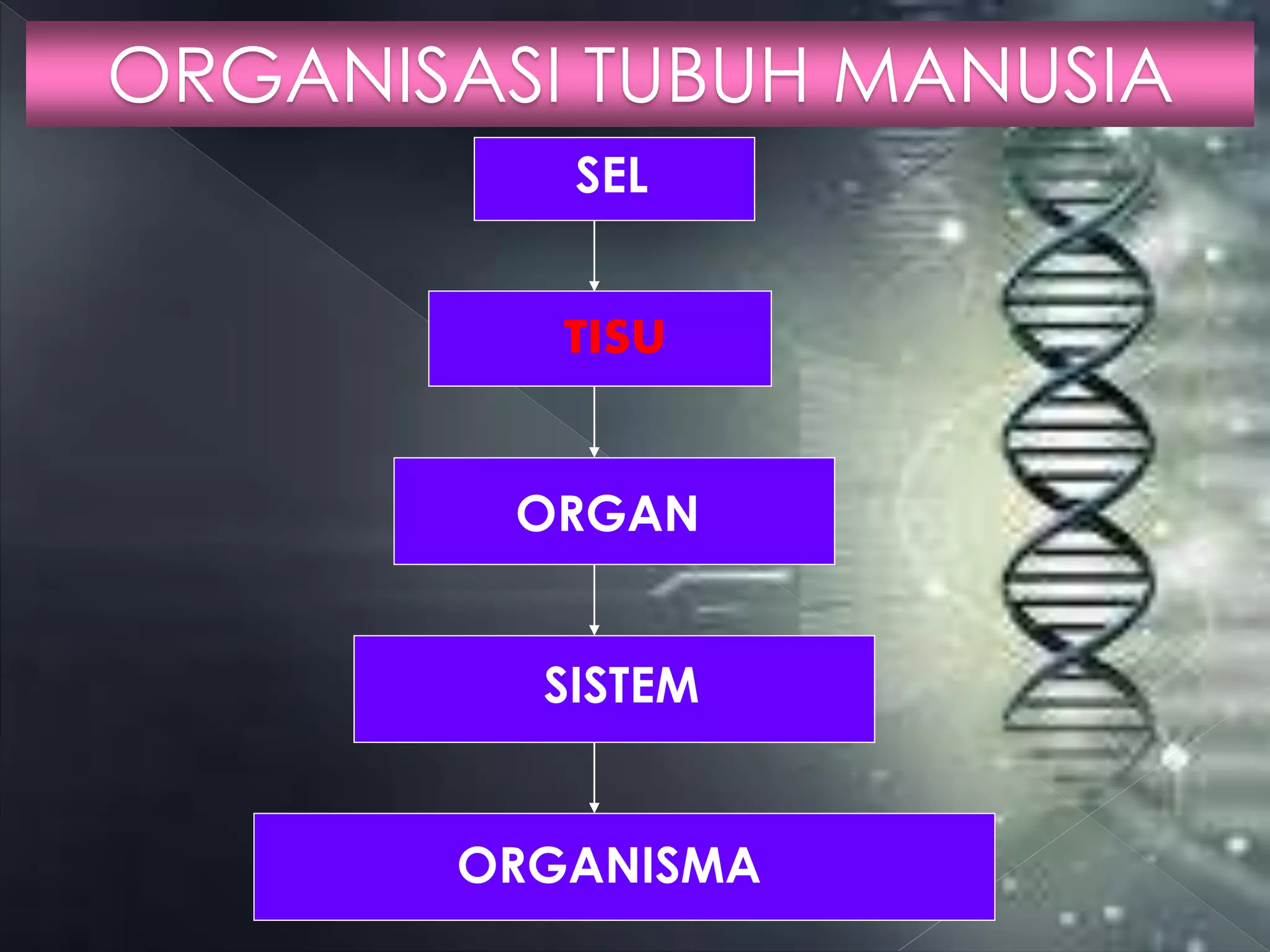 Fungsi sel , tisu dan membran | PPTX