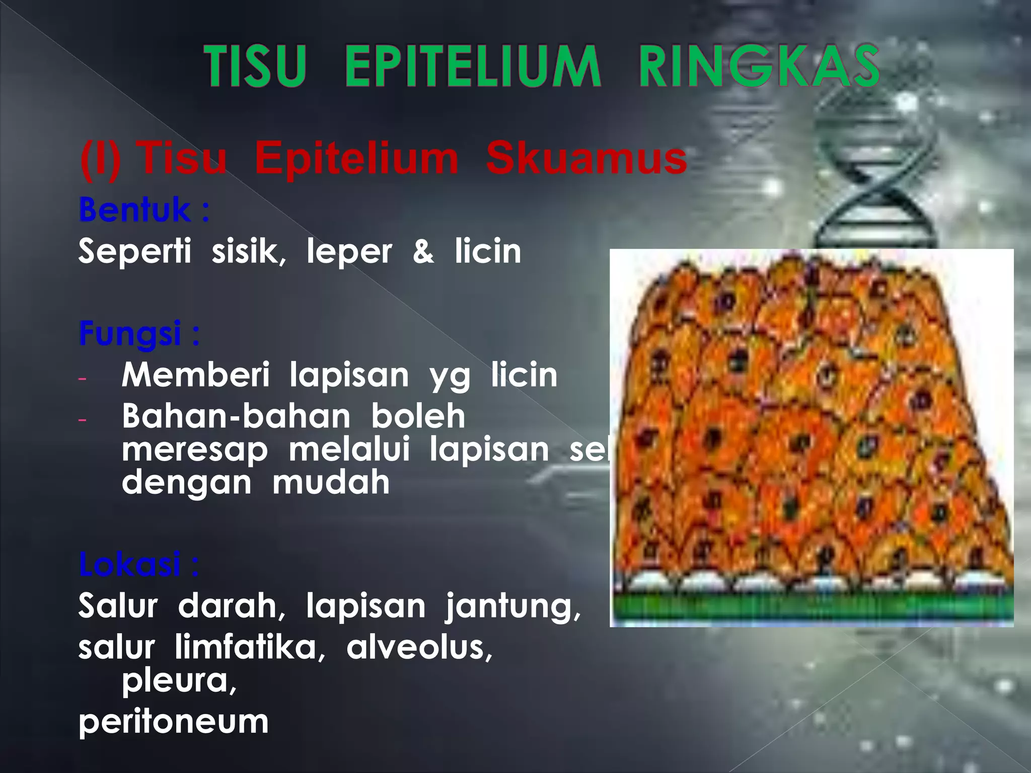 Fungsi sel , tisu dan membran | PPTX