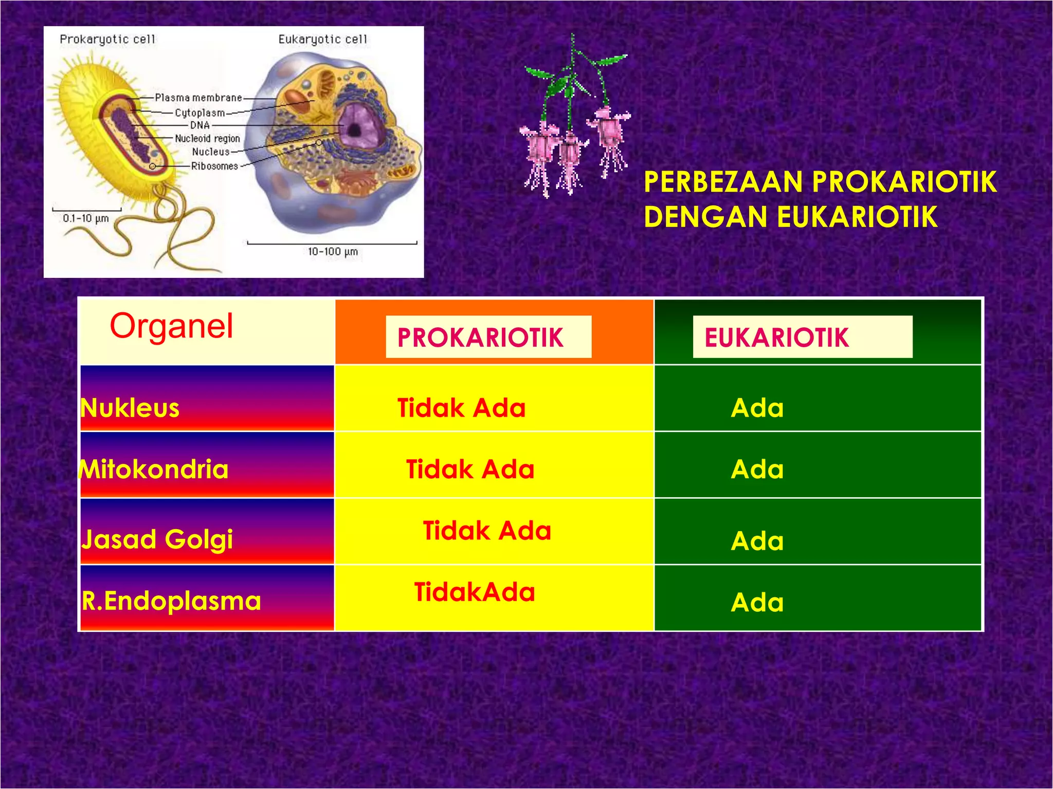 Fungsi sel , tisu dan membran | PPTX