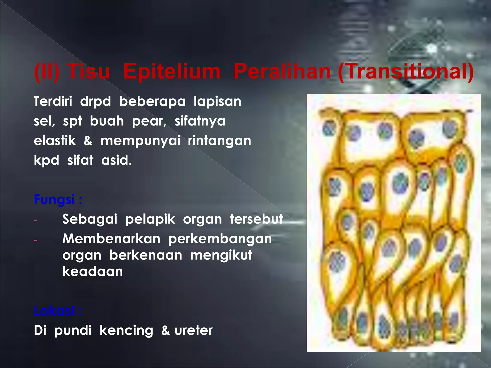 Fungsi sel , tisu dan membran | PPTX