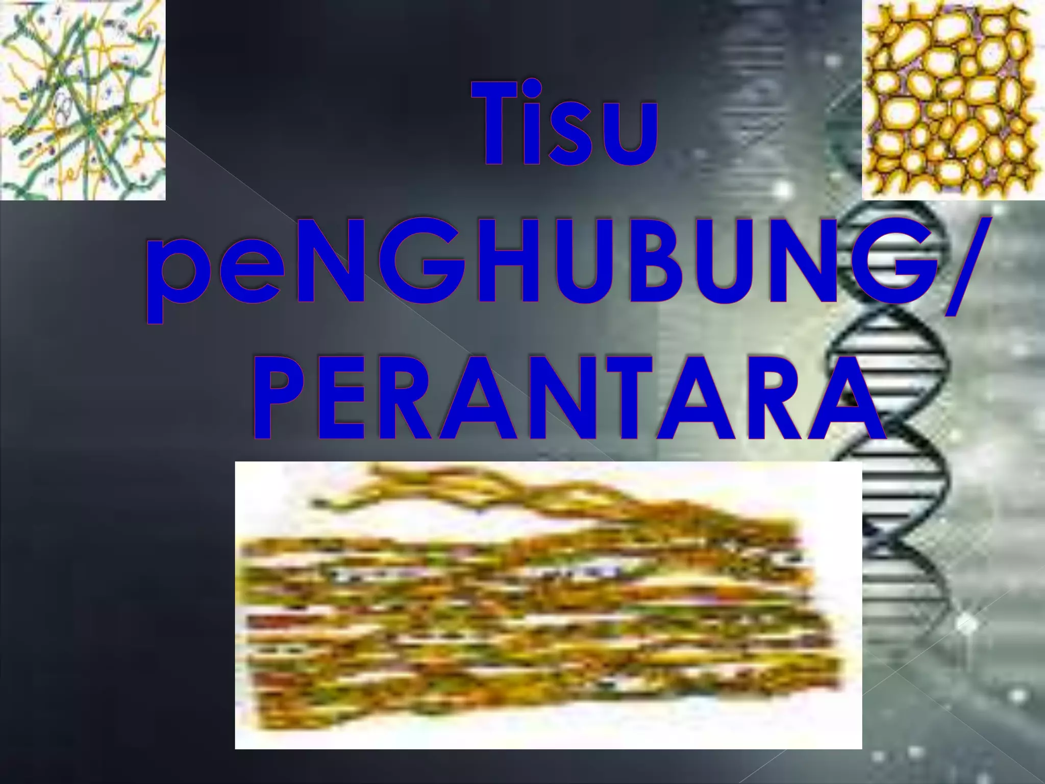 Fungsi sel , tisu dan membran | PPTX