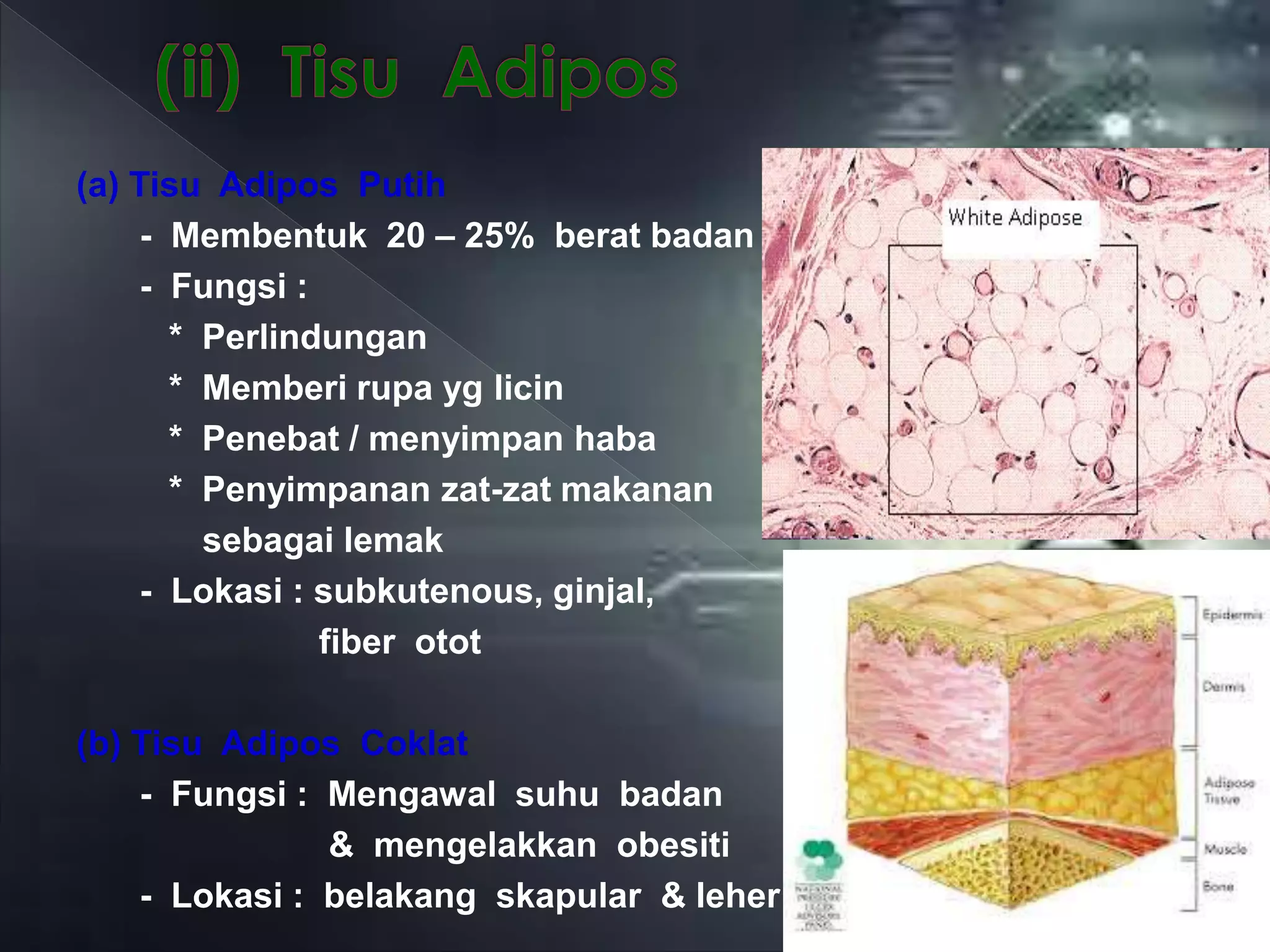 Fungsi sel , tisu dan membran | PPTX