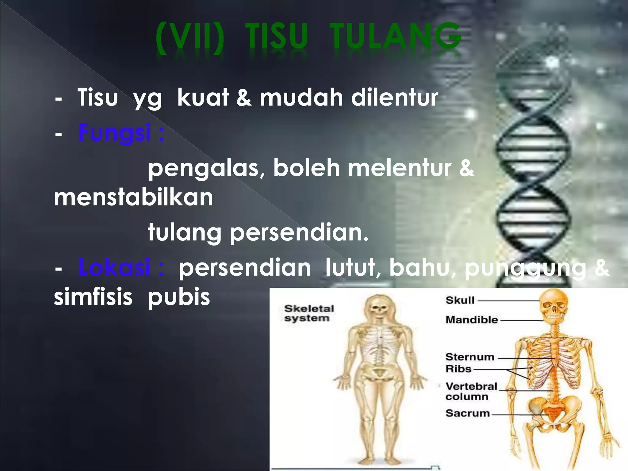 Fungsi sel , tisu dan membran | PPTX