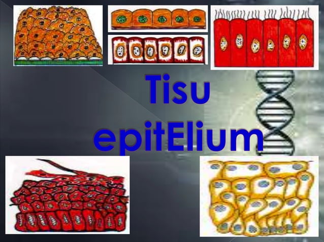 Fungsi sel , tisu dan membran | PPTX