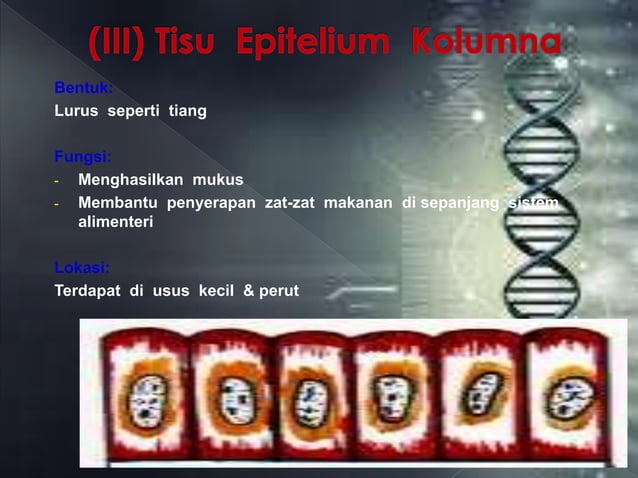 Fungsi sel , tisu dan membran | PPTX