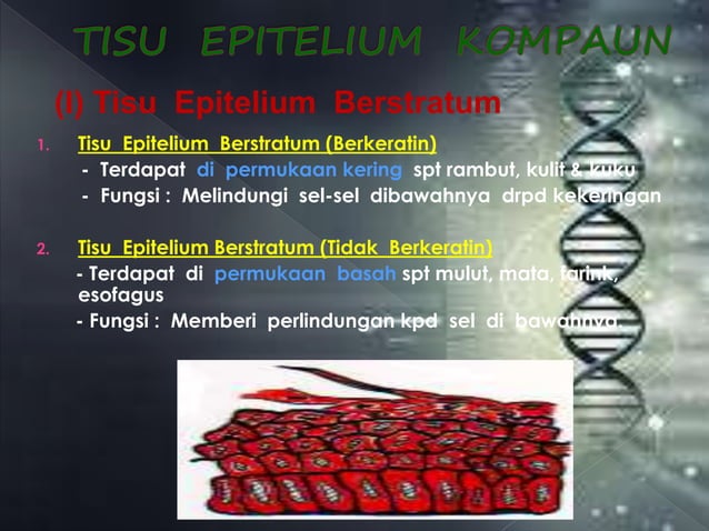 Fungsi sel , tisu dan membran | PPTX