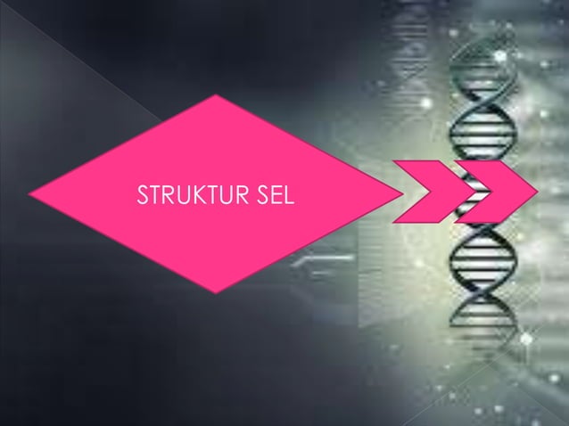Fungsi sel , tisu dan membran | PPTX