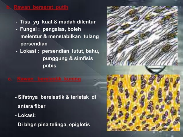 Fungsi sel , tisu dan membran | PPTX