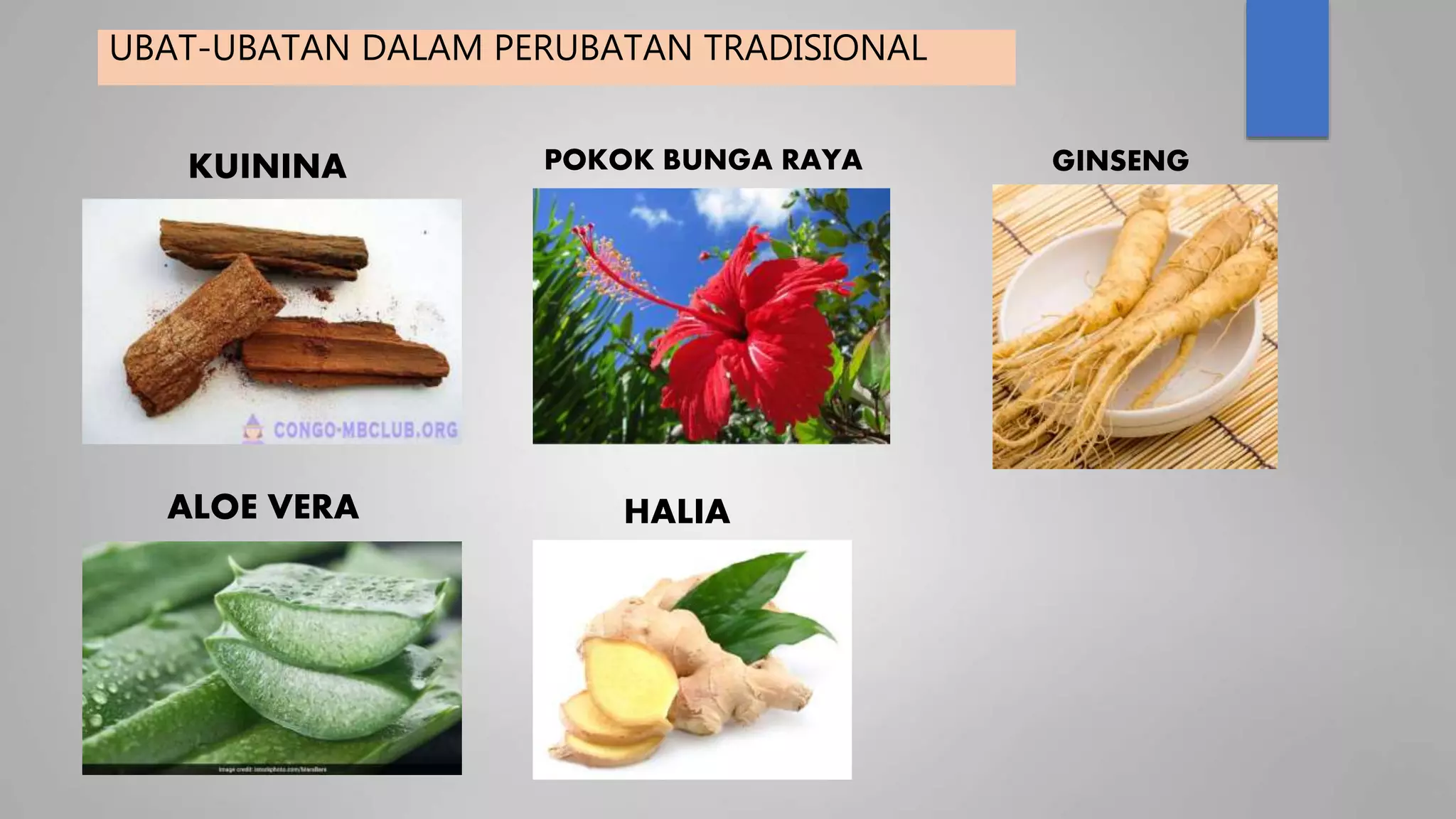 sains t4 Bab 10.pptx