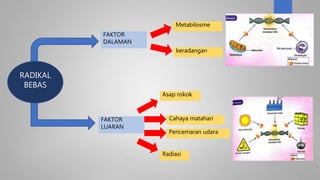 sains t4 Bab 10.pptx